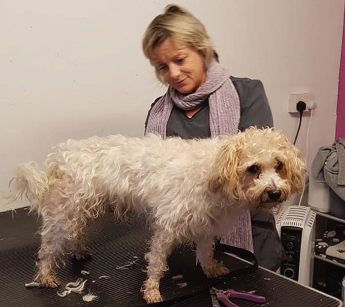 Pretty Paws | Meet the Groomer